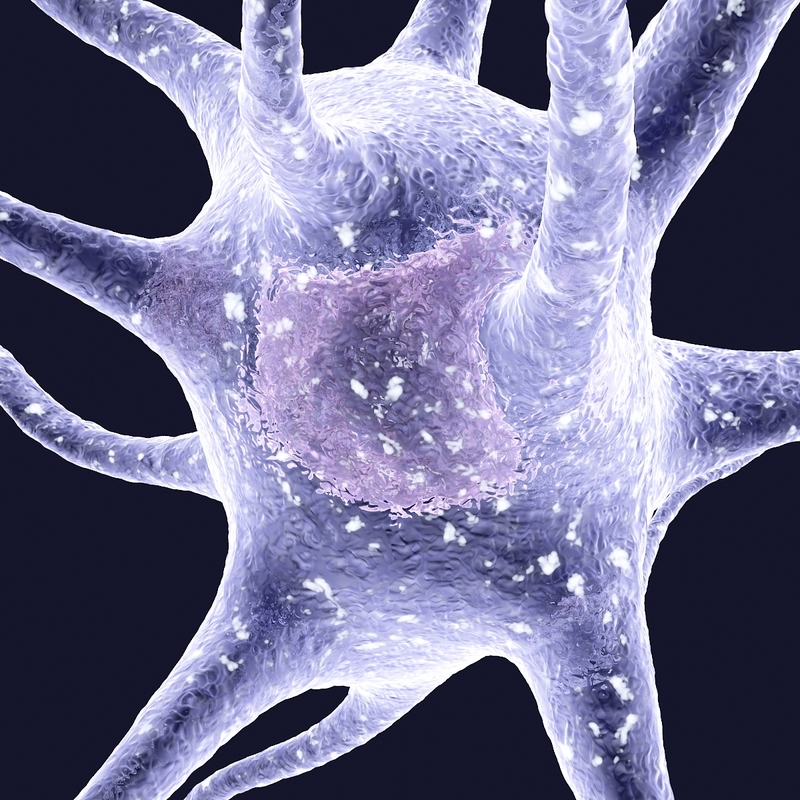 3d model neurons