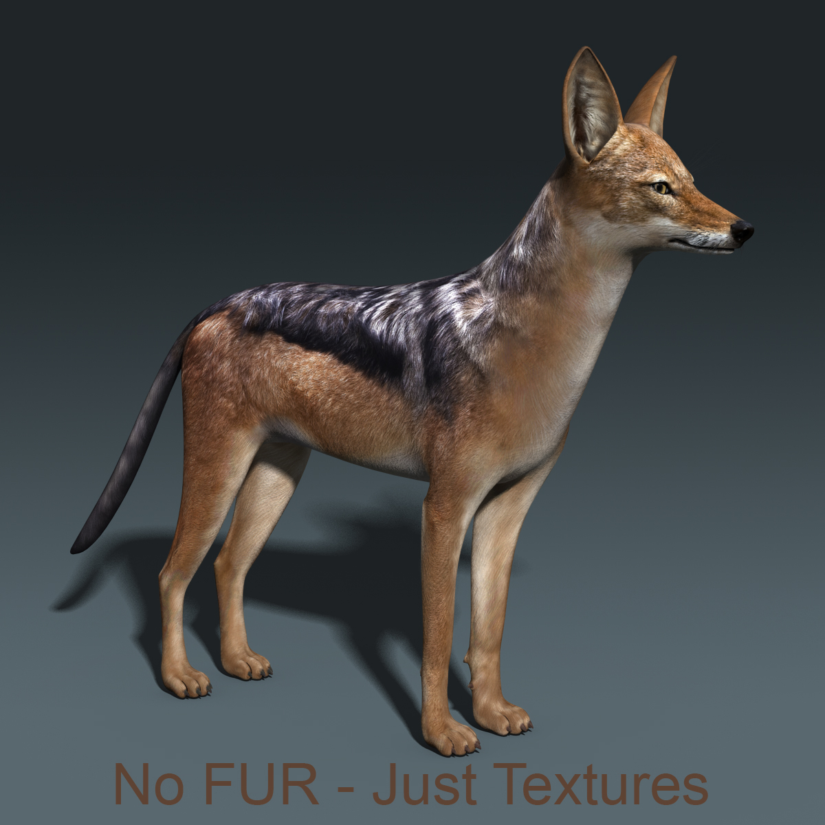 jackal fur 3d max