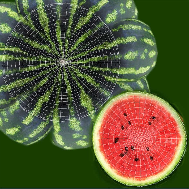 3dsmax watermelon cross section 2