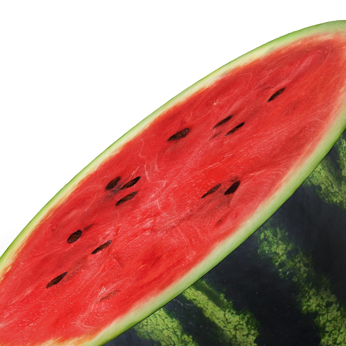 3dsmax watermelon cross section 2