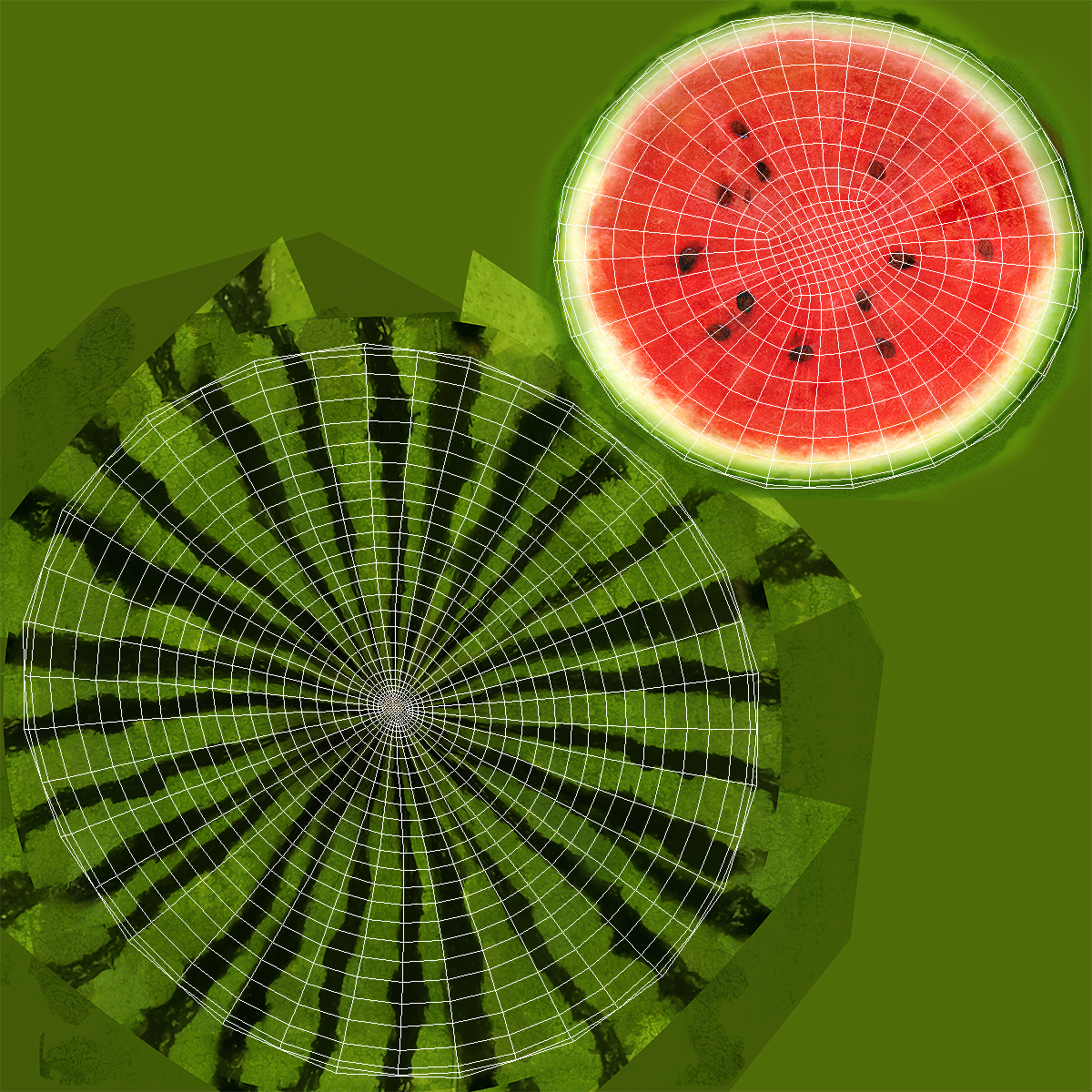 3d watermelon cross section 3