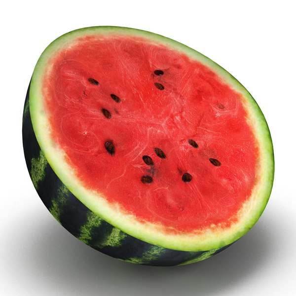 3dsmax watermelon cross section 2