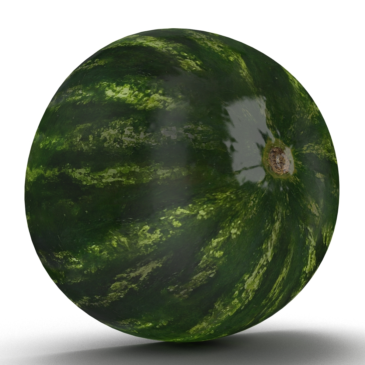3d watermelon cross section model