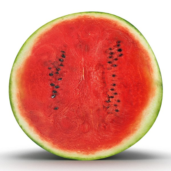 3d watermelon cross section model
