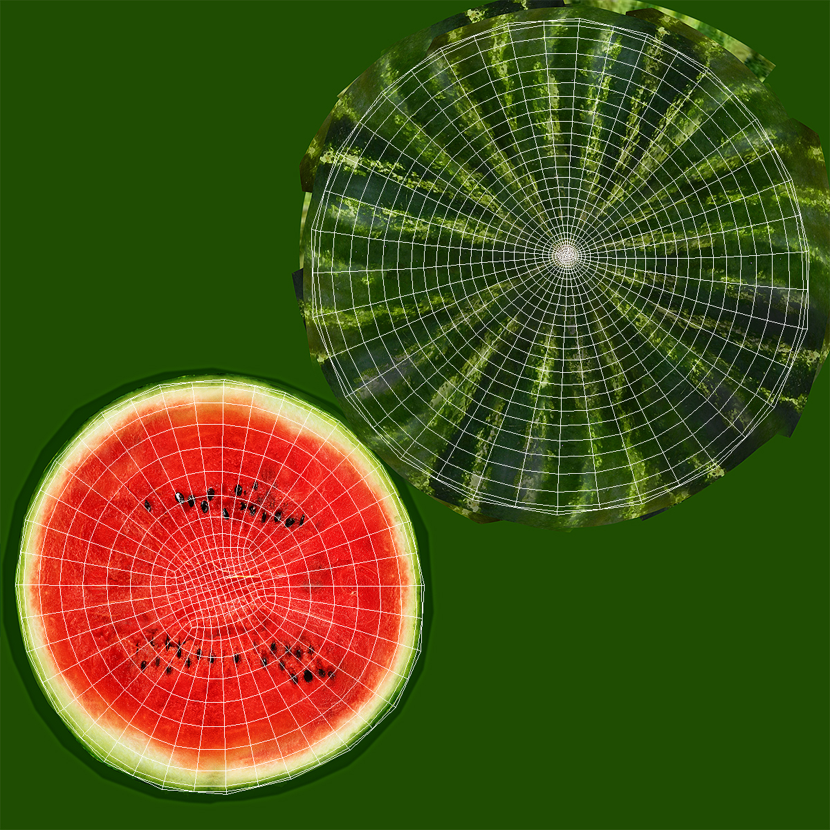 3d watermelon cross section model
