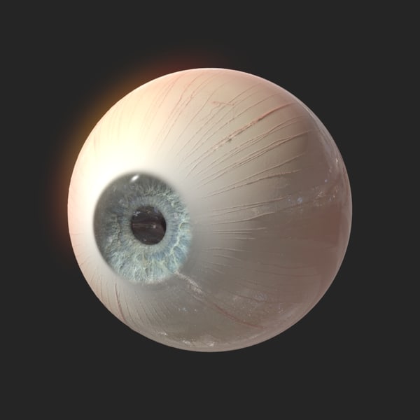 Animated Eyes 3D Models for Download | TurboSquid