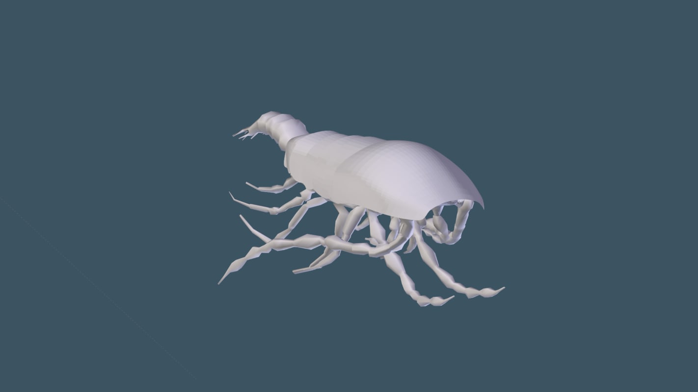 copepod 3d x