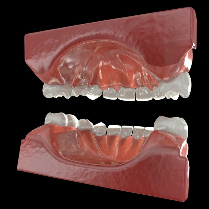 3ds human primary teeth gums