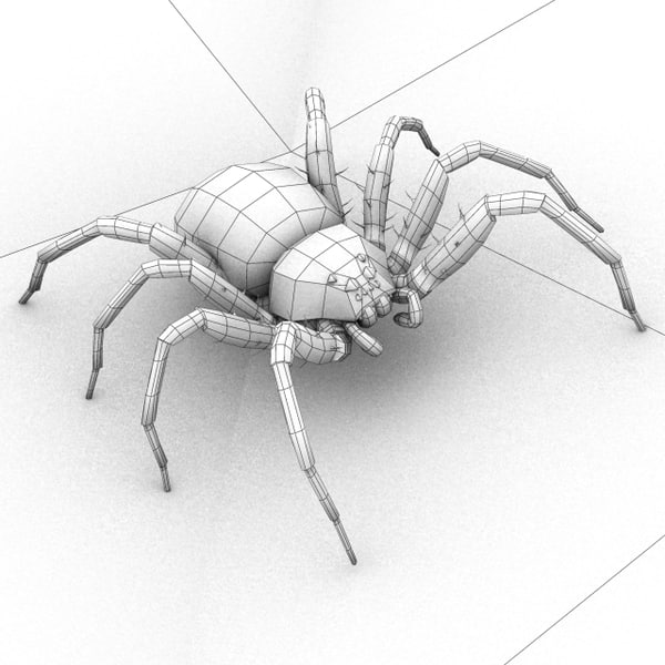 3d model spider walk