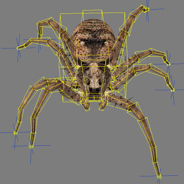 3d model spider walk