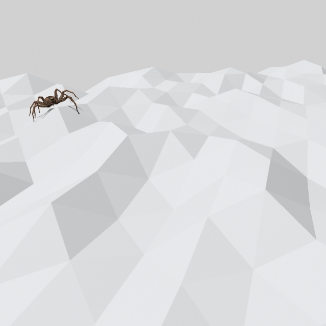3d model spider walk