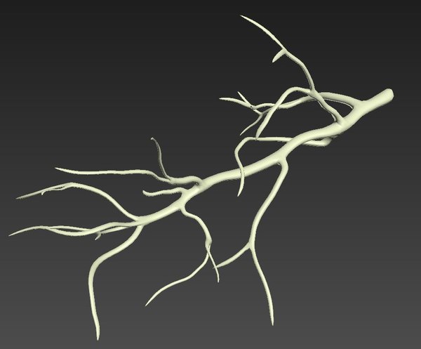 3d model tree branches