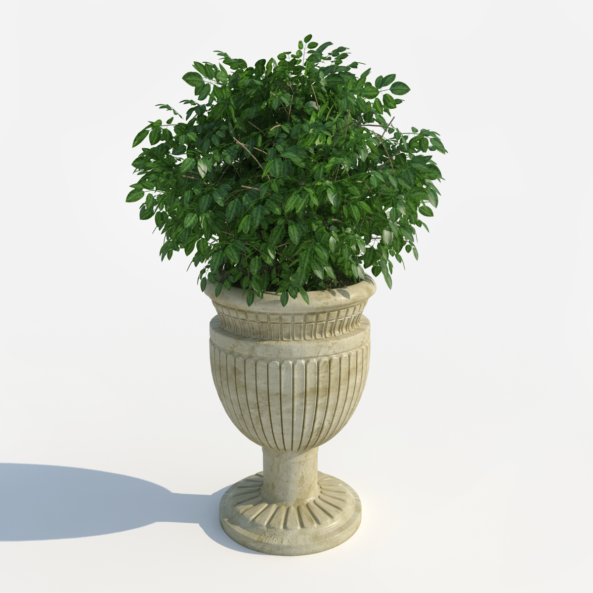 3d traditional entrance plant