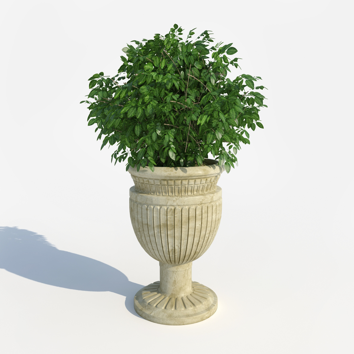 3d traditional entrance plant