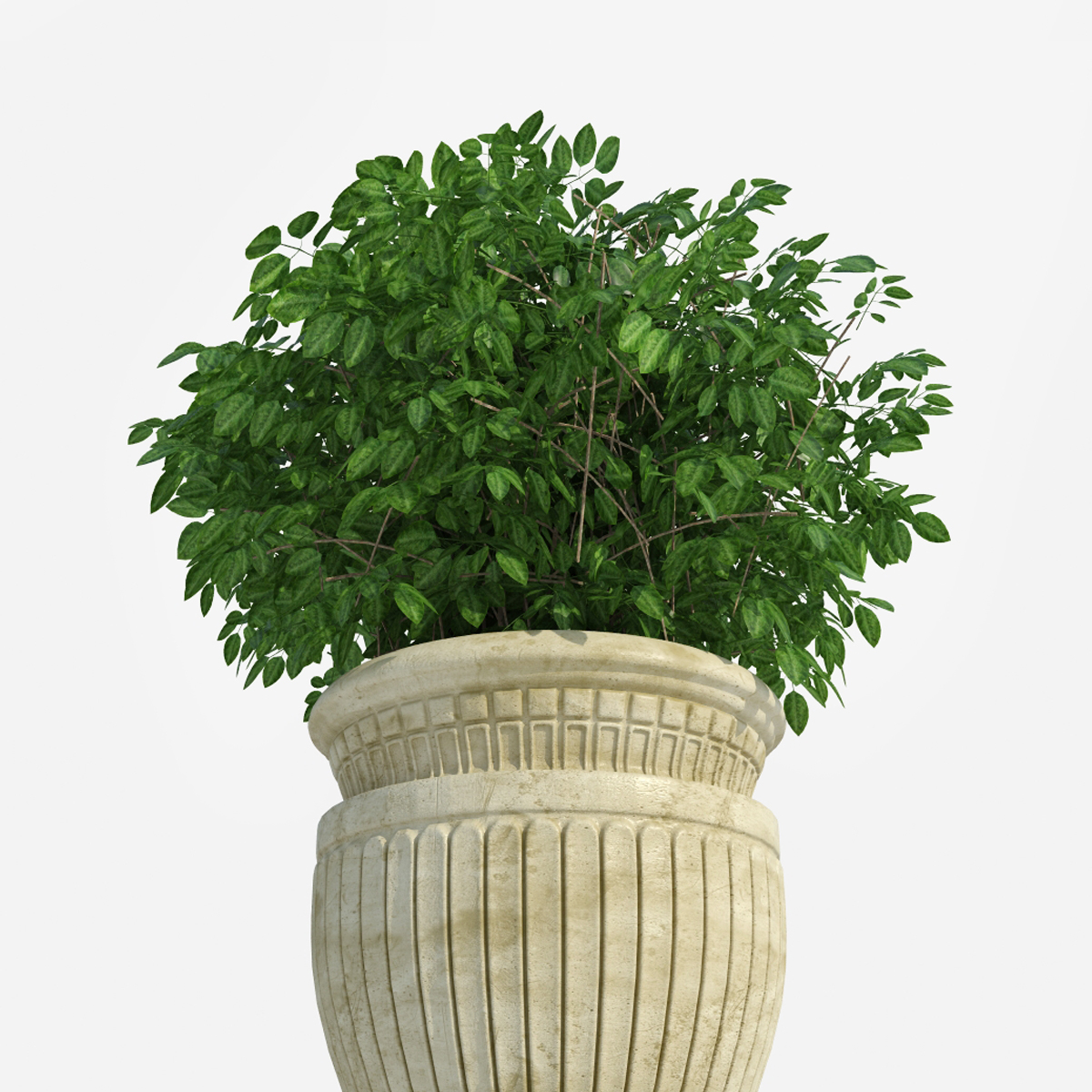 3d traditional entrance plant
