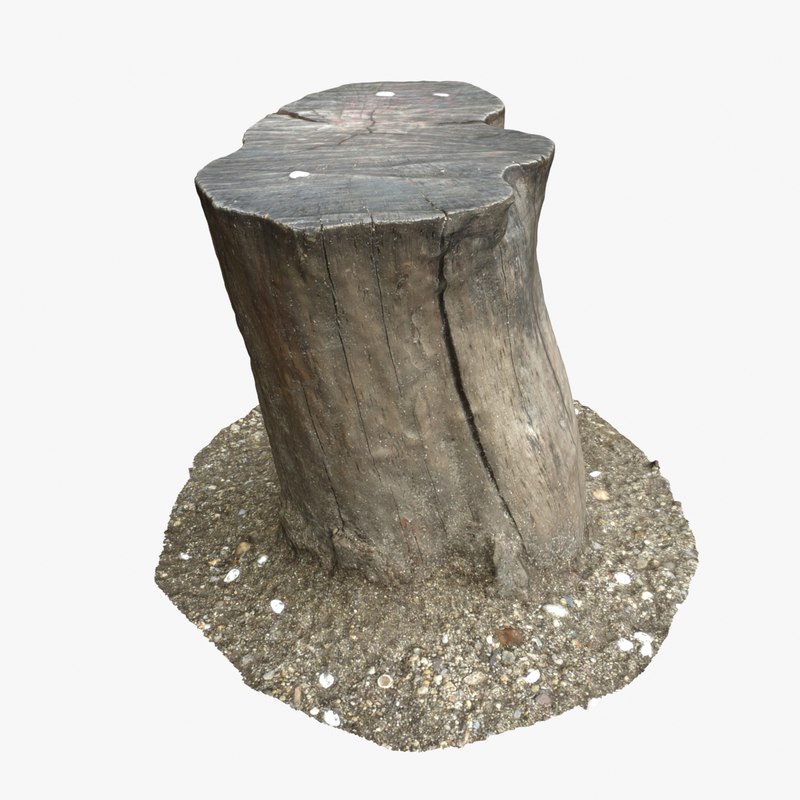 3d tree stump 15 model