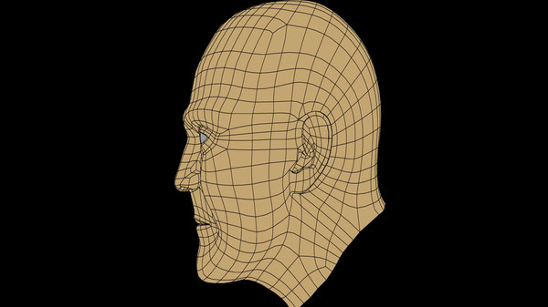 free head base mesh 3d model