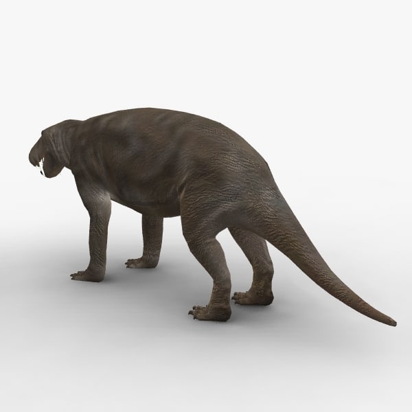 3d model rigged arctops