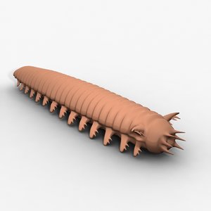 3D Worm Models | TurboSquid