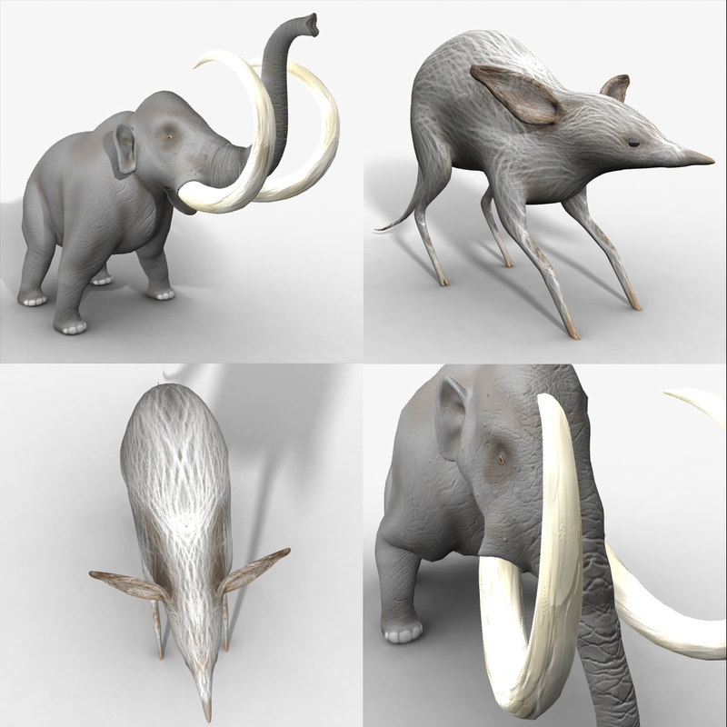 rigged animals 3d model