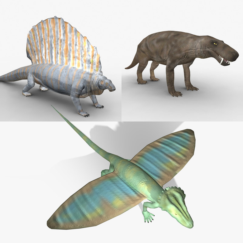 3d rigged animals permian