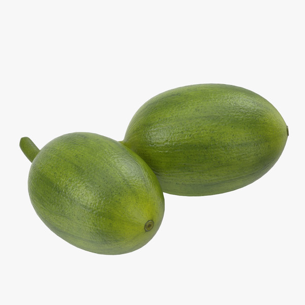 coffee plant 3d model