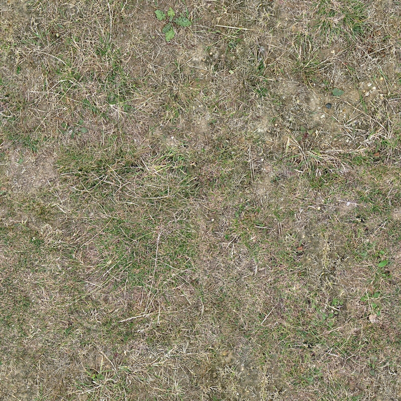 Texture Other 2048 Seamless Dirt