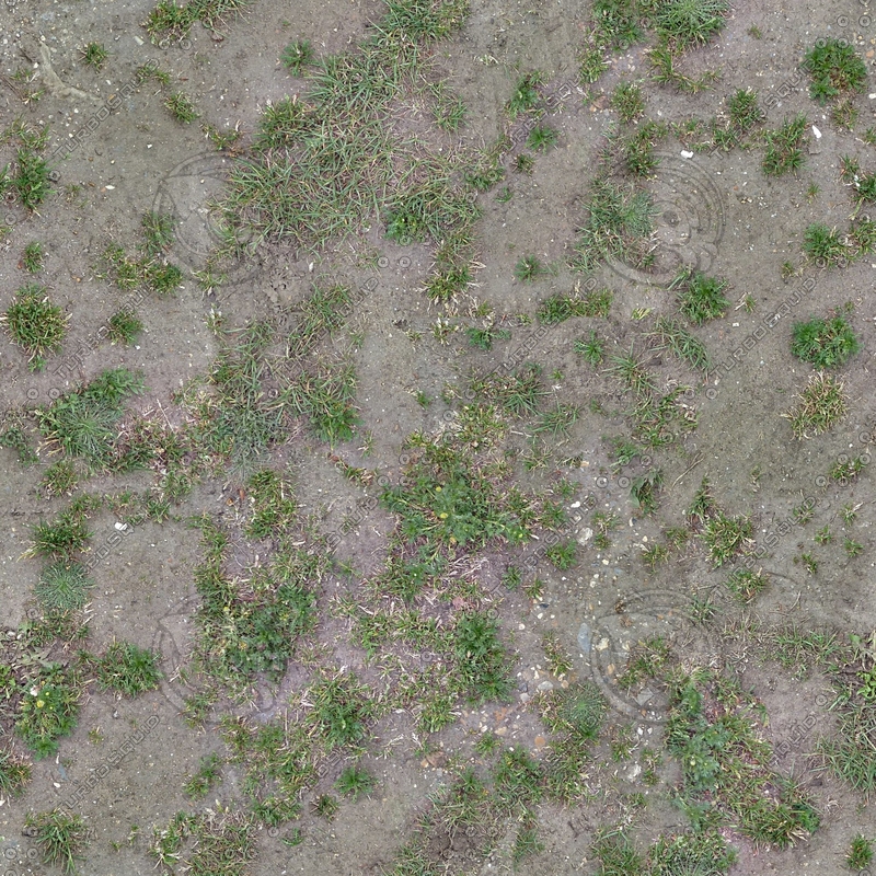 Texture JPEG 2048 Seamless Dirt