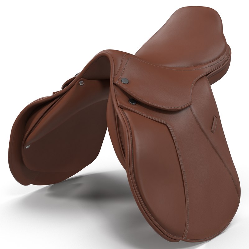 saddle 2 3d model