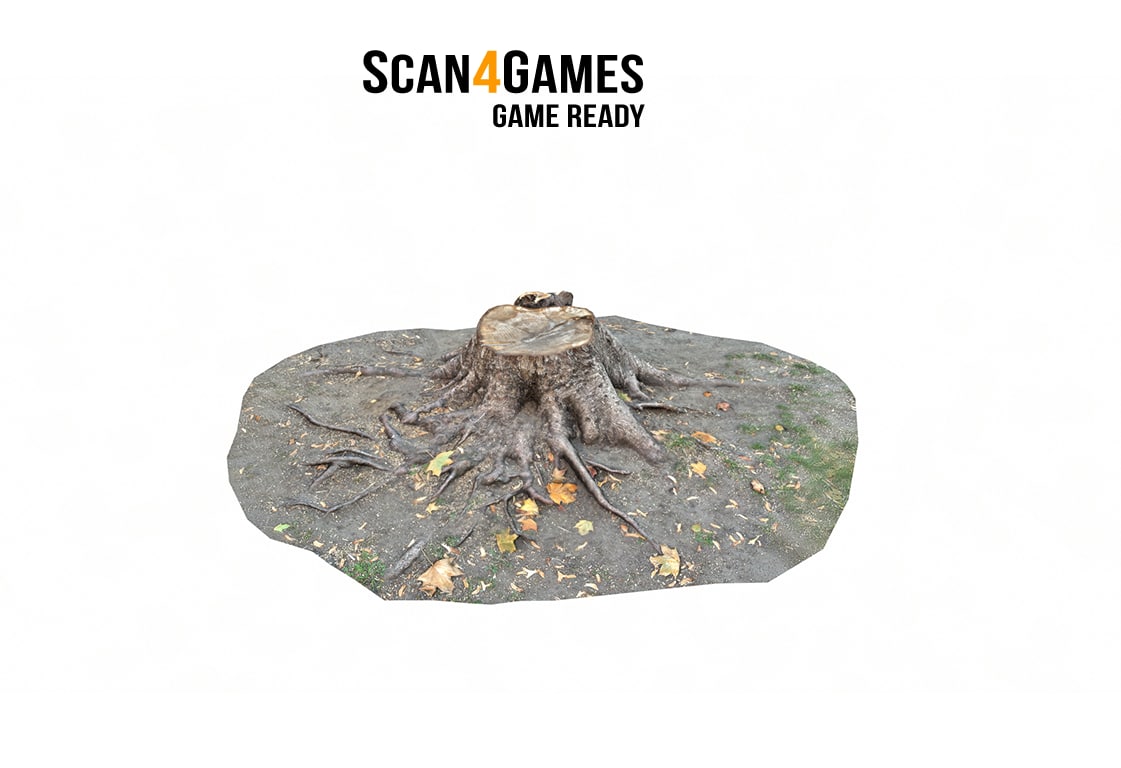 3d Photogrammetry Lod