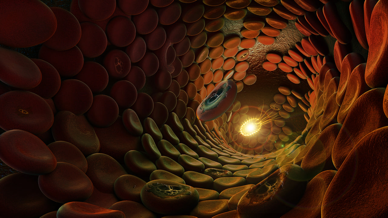 damage blood cells 3d model