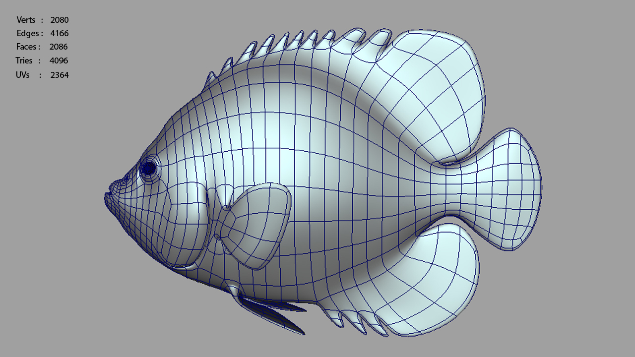 fish animals 3d model