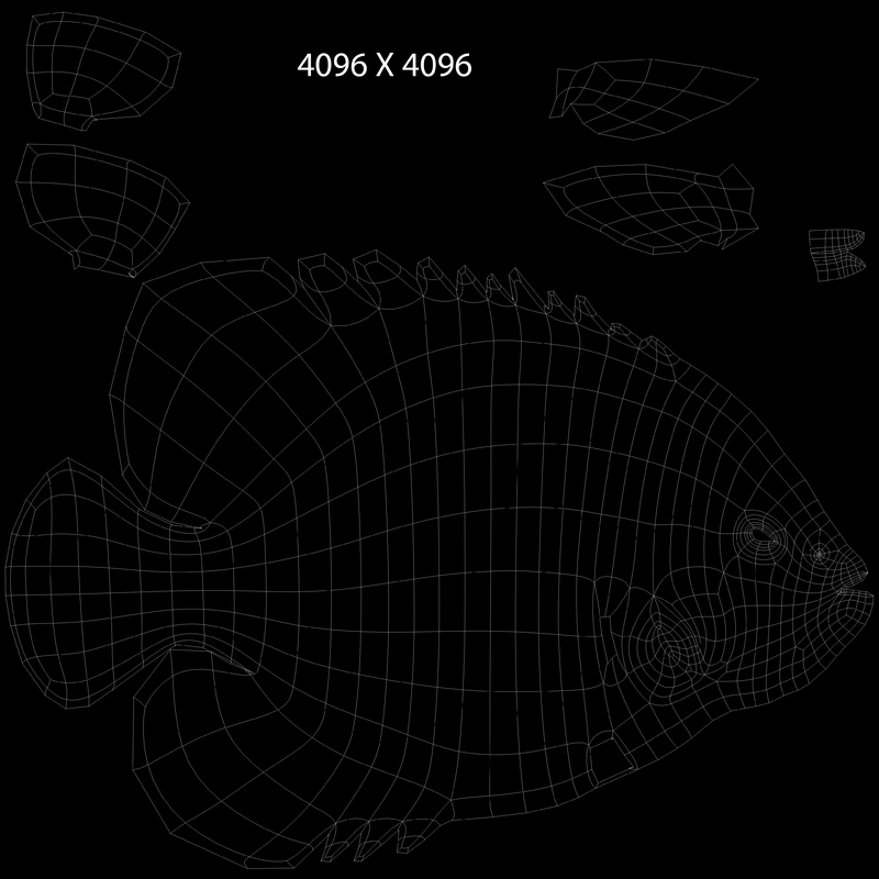 fish animals 3d model