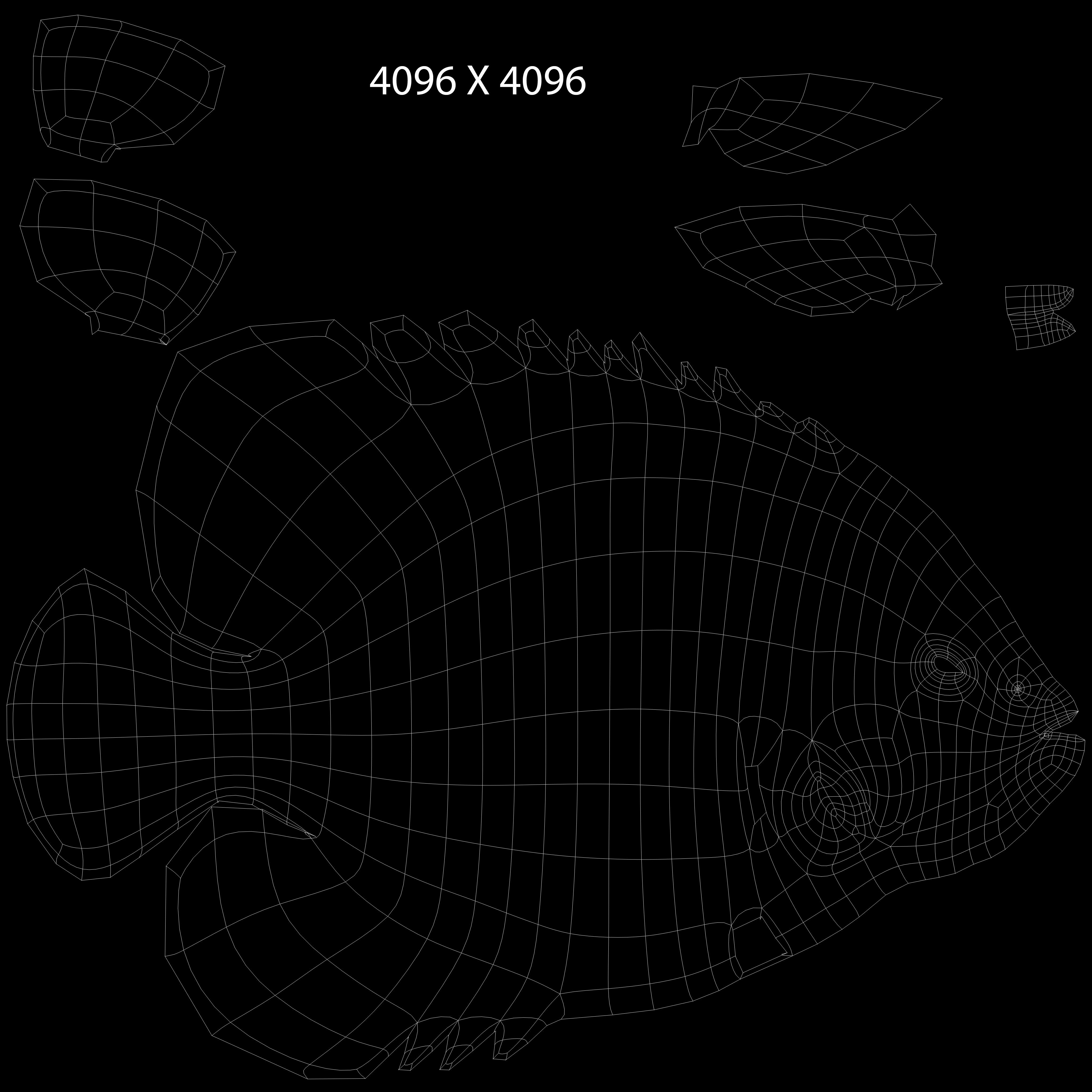 fish animals 3d model