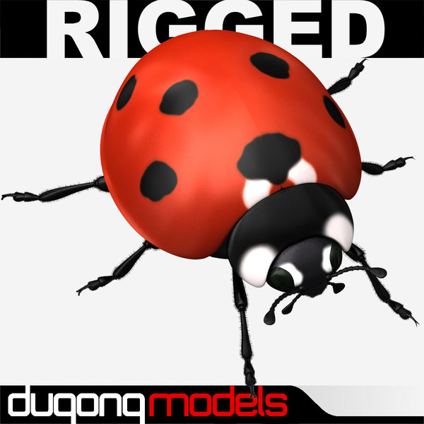 modelo 3d Mariquita - TurboSquid 925090