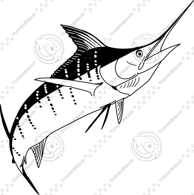 Shapes Encapsulated Postscript Vector sailfish fish