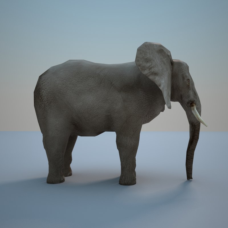 maya elephant