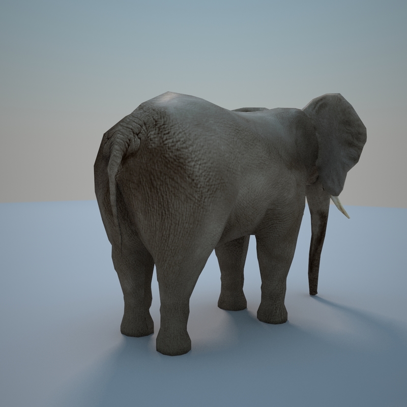 maya elephant