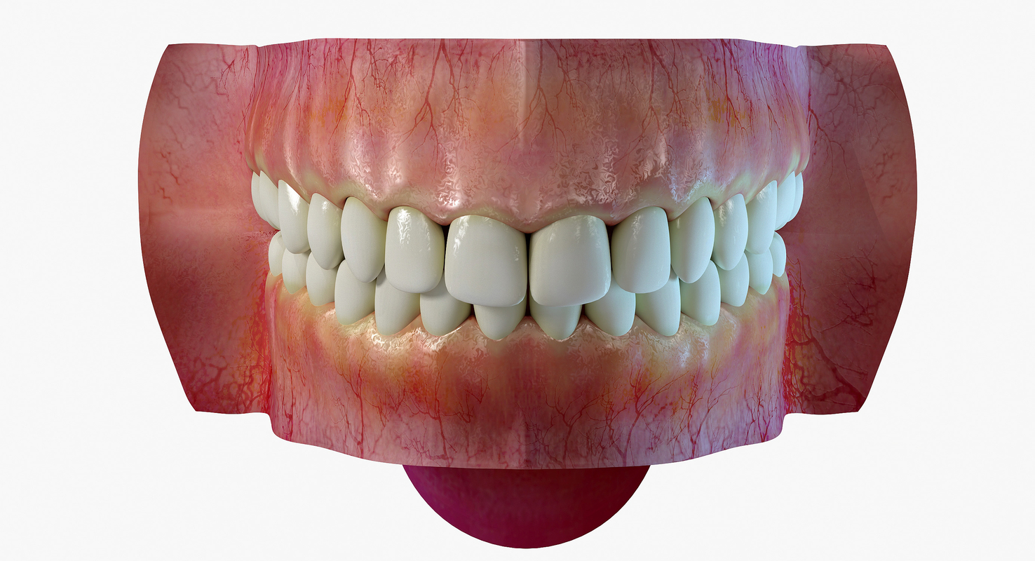 human mouth teeth 3d max