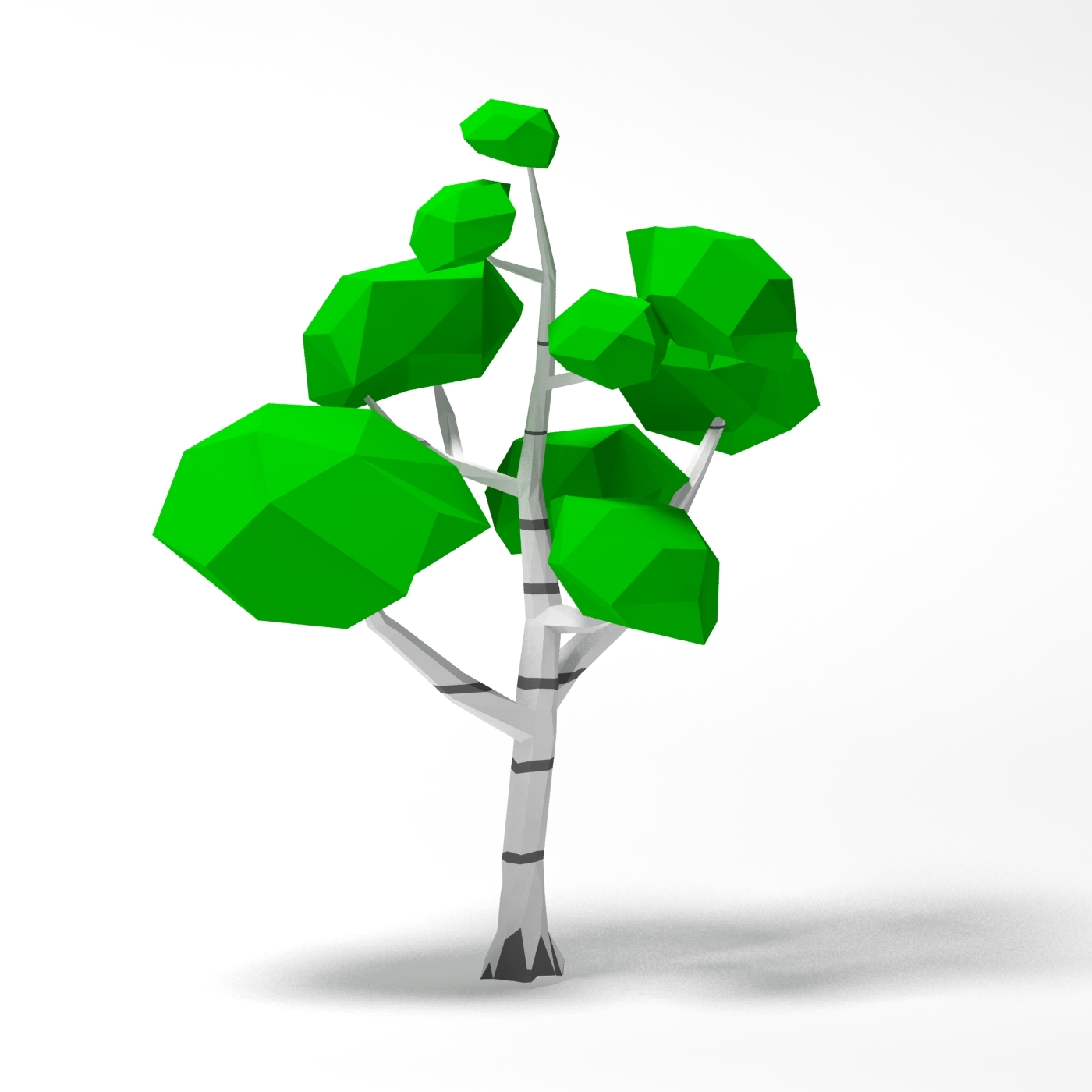 3ds max cartoon birch tree