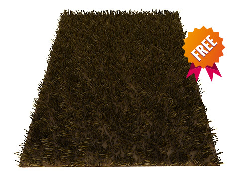 free carpet modelled 3d model