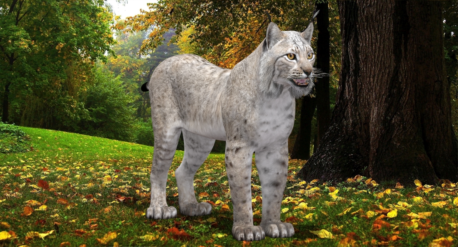 3dsmax eurasian lynx white