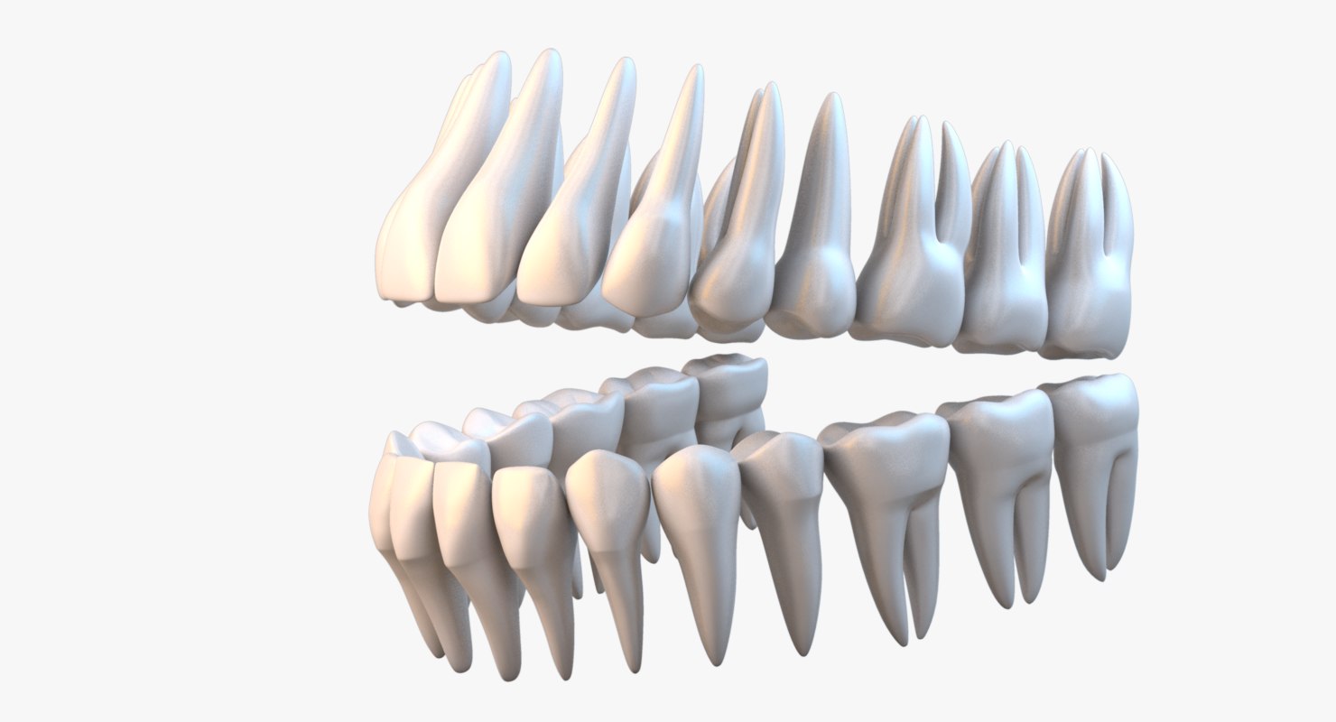 maya teeth realistic