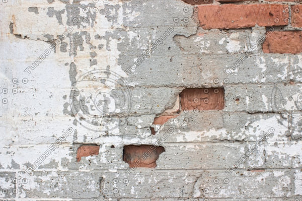 Texture JPEG texture wall tileable