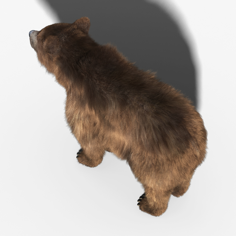 3d brown bear fur