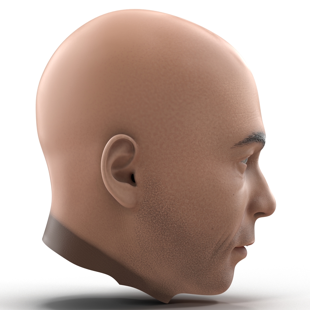 3d male head rigged model
