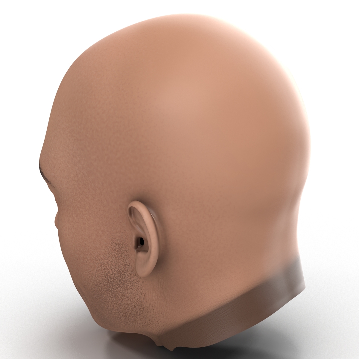 3d male head rigged model