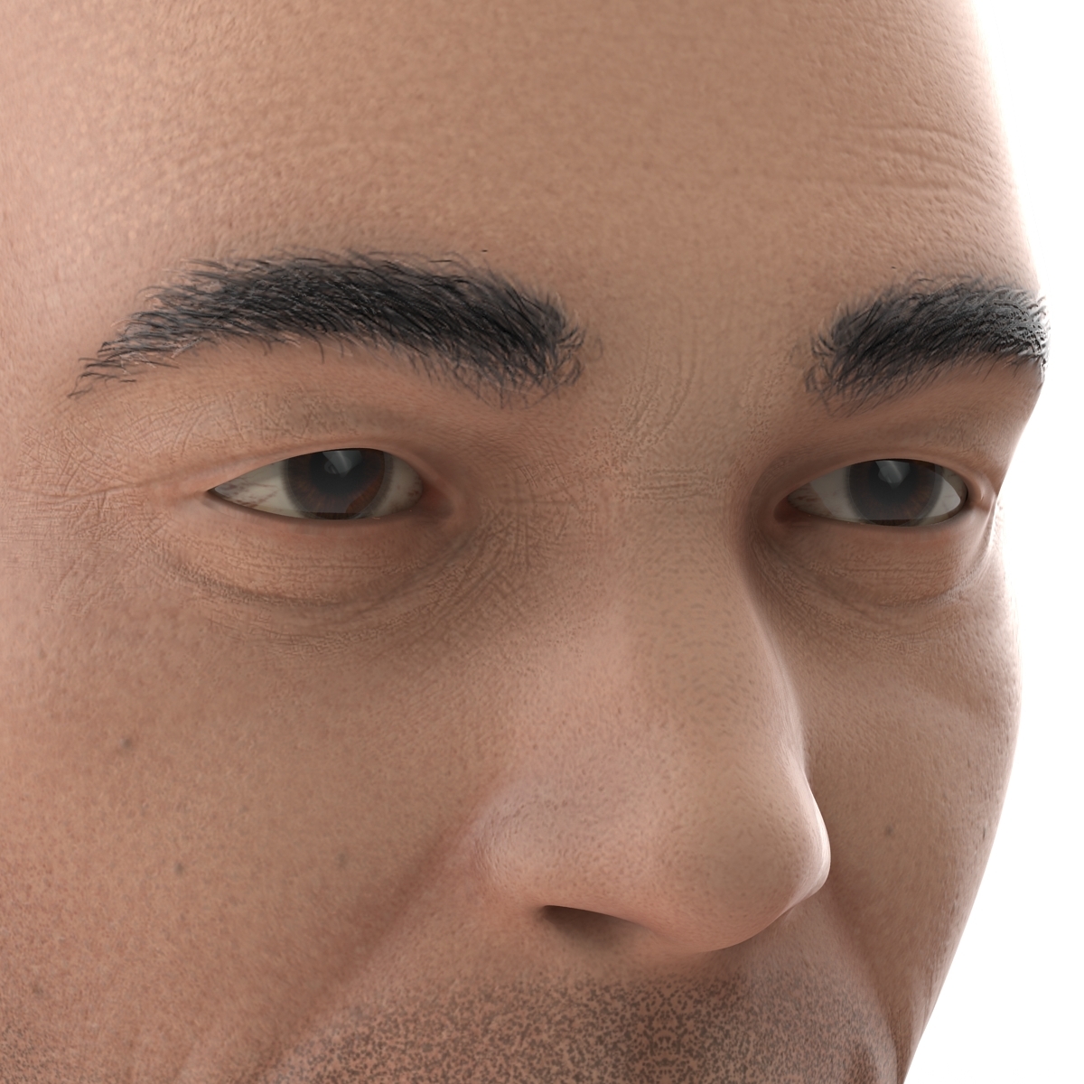 3d male head rigged model