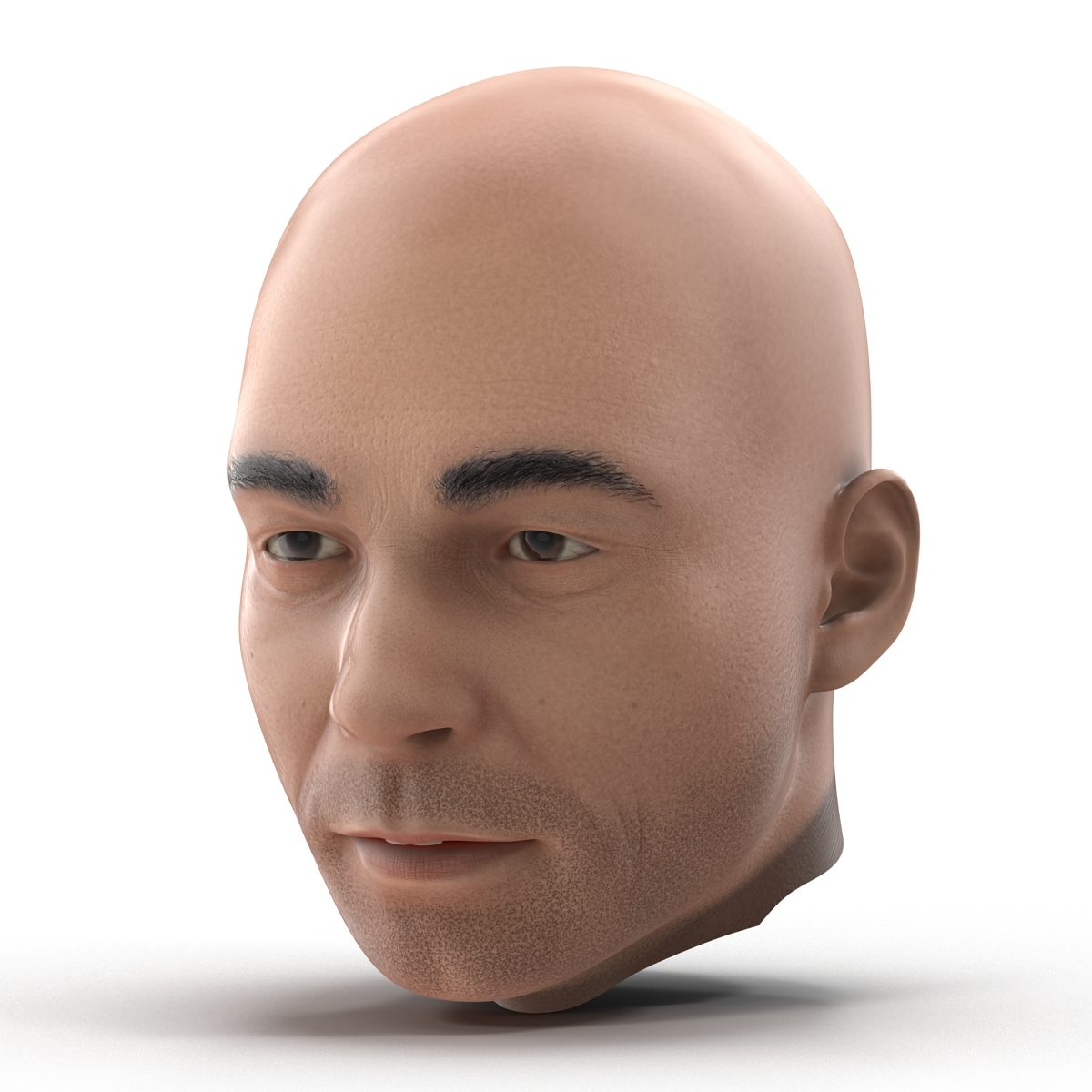 3d male head rigged model