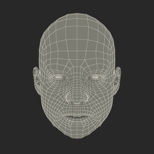 3d male head rigged model